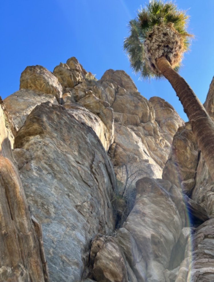 You Don’t Look Anorexic submitted by Hank Blumfarb, LCSW and Robin ...