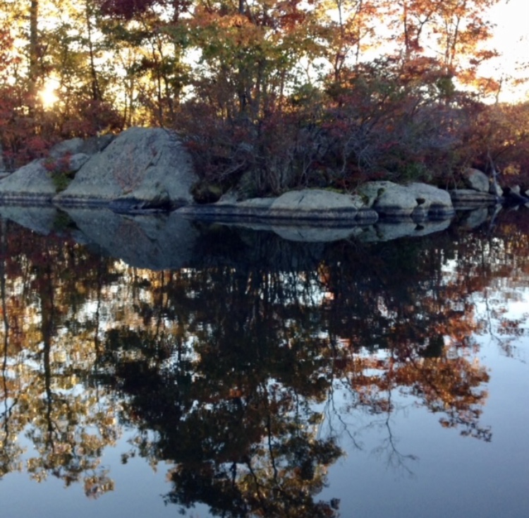 Widening the Lens: Ports of Entry in Child Psychotherapy - NYIPT ...